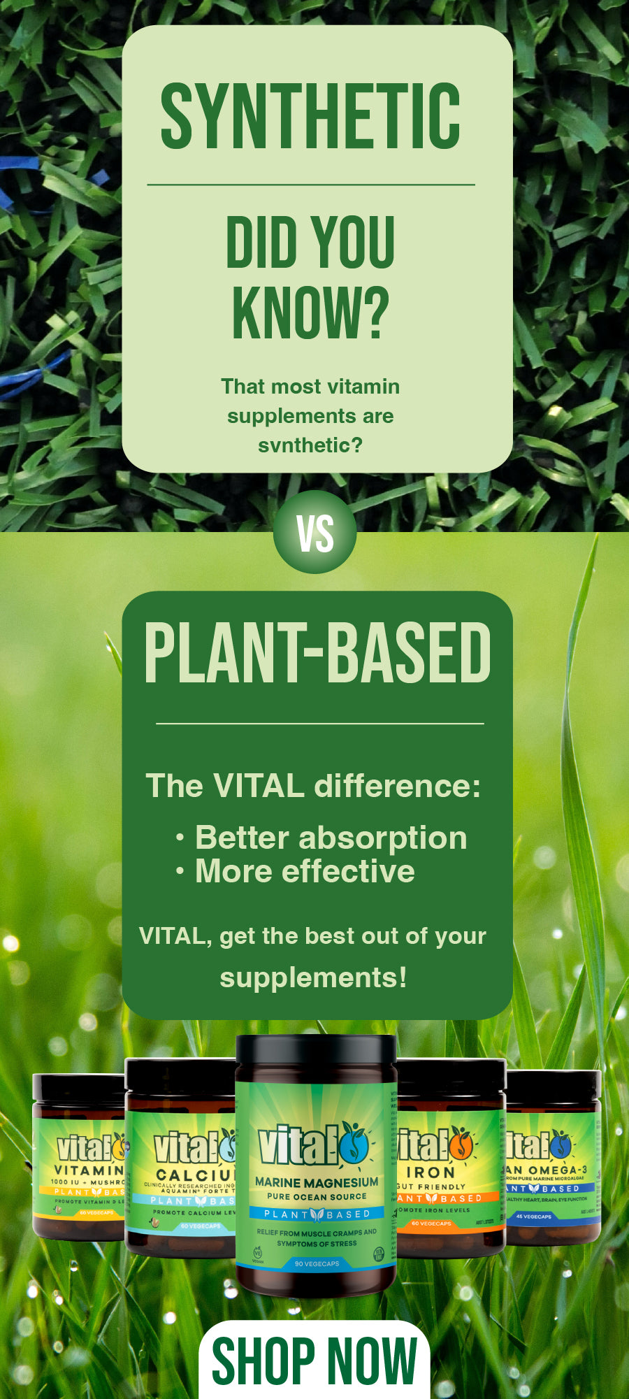 Your Daily Health Ritual - Plant Based, Nutrient Dense – Vital Everyday ...