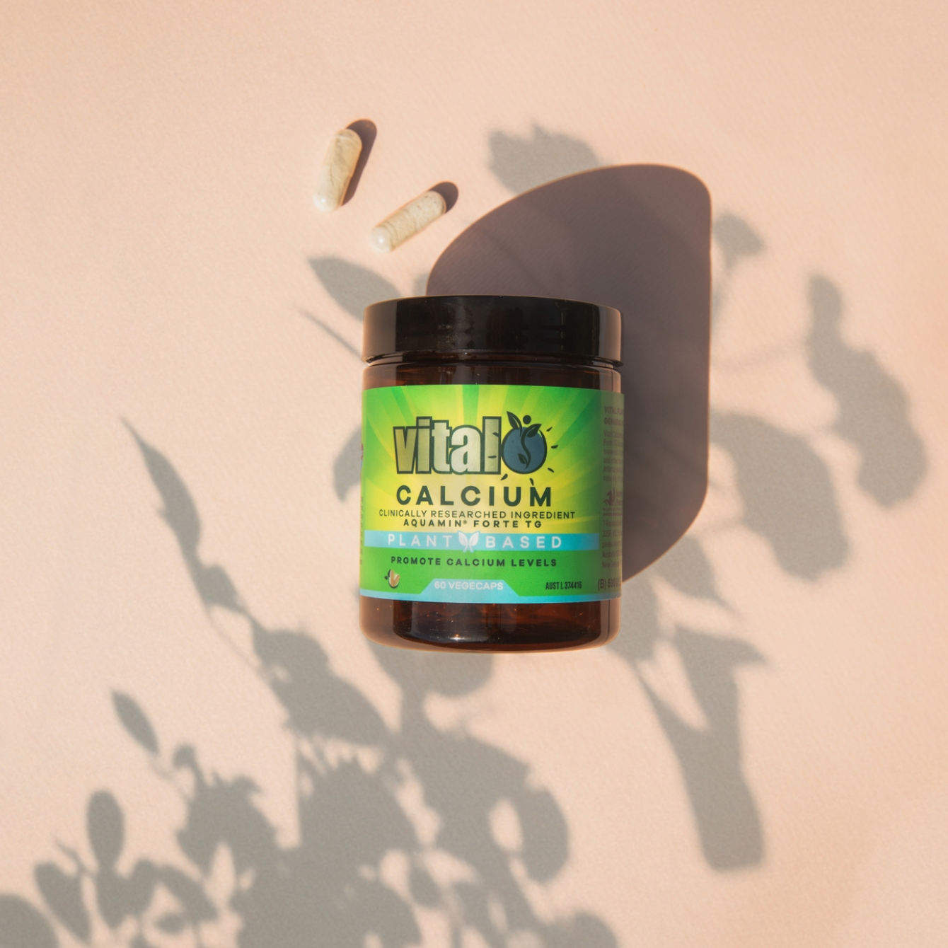 Vital Calcium 60 Vegecaps – Vital Everyday Australia